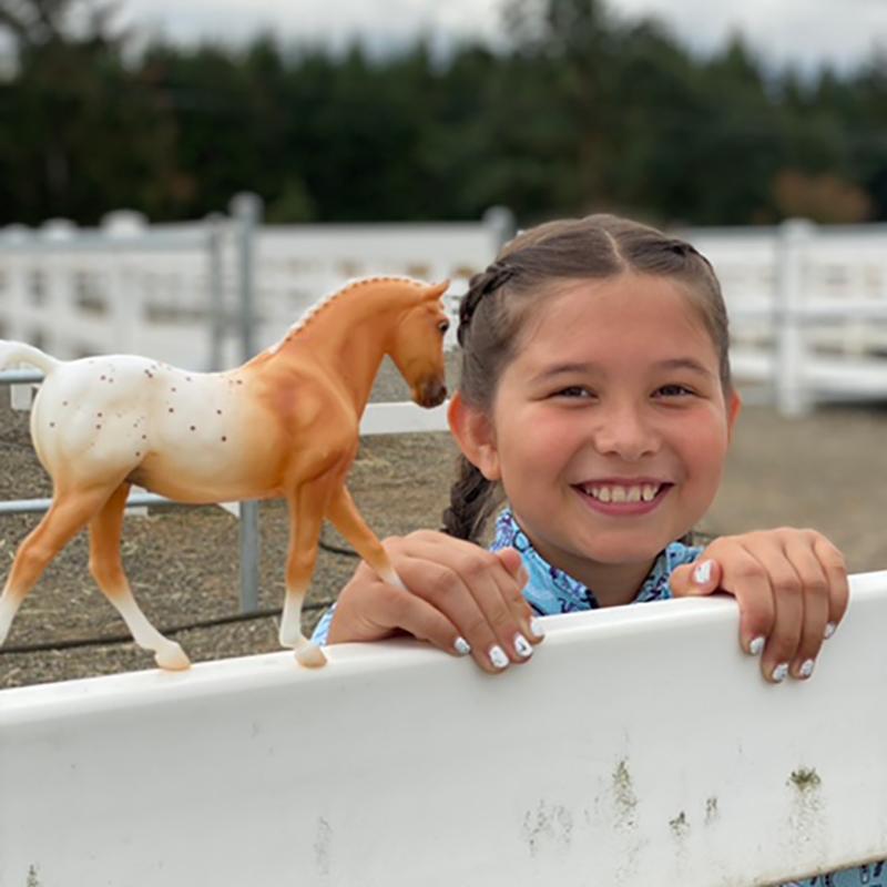 2020-2021 Magalog Shopping Spree Winner! — BreyerHorses.com