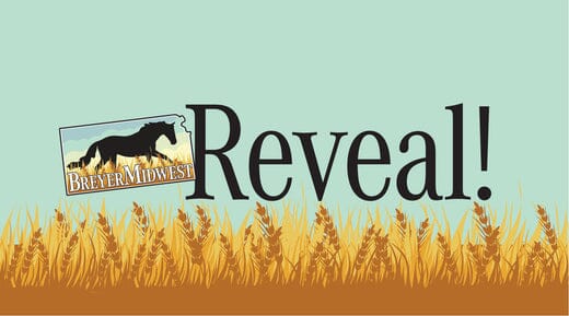 A two-fer! — BreyerHorses.com