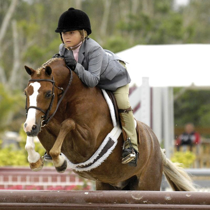 Famous Hunter Horses