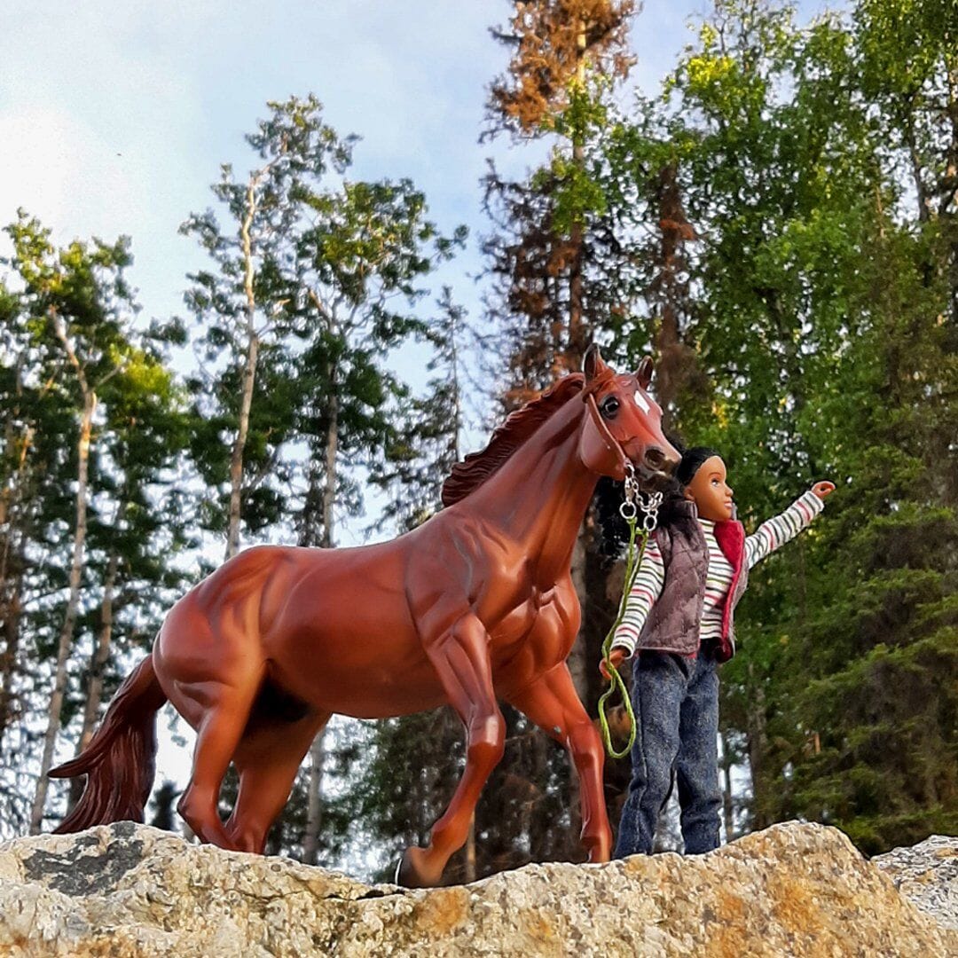 June 2021 Breyer Photo Show Results — BreyerHorses.com