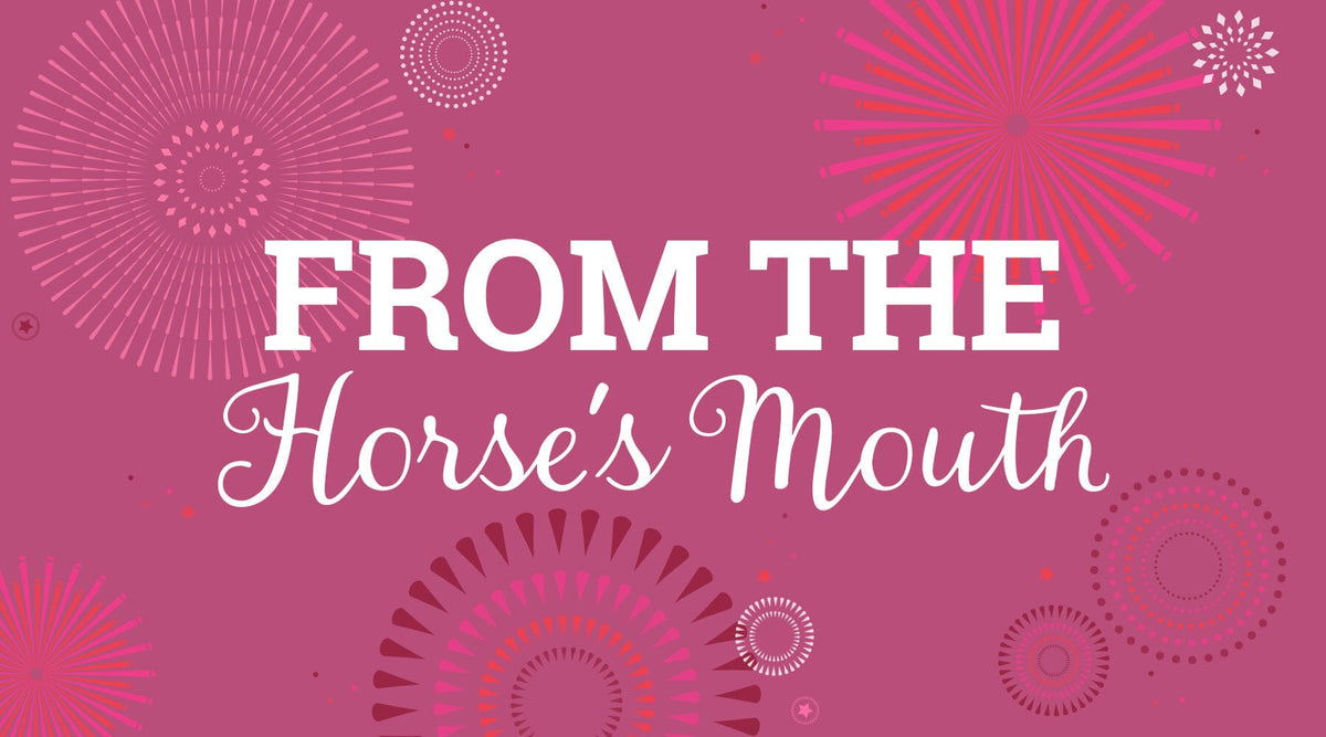 No Fooling Here! — BreyerHorses.com