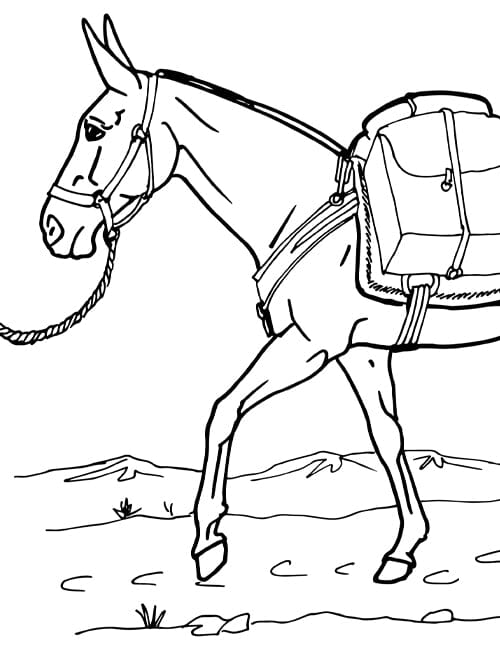 Coloring Pages - BreyerHorses.com