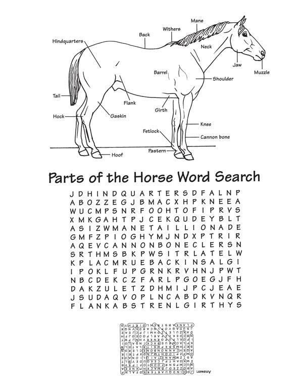 Parts of the Horse Word Search — BreyerHorses.com