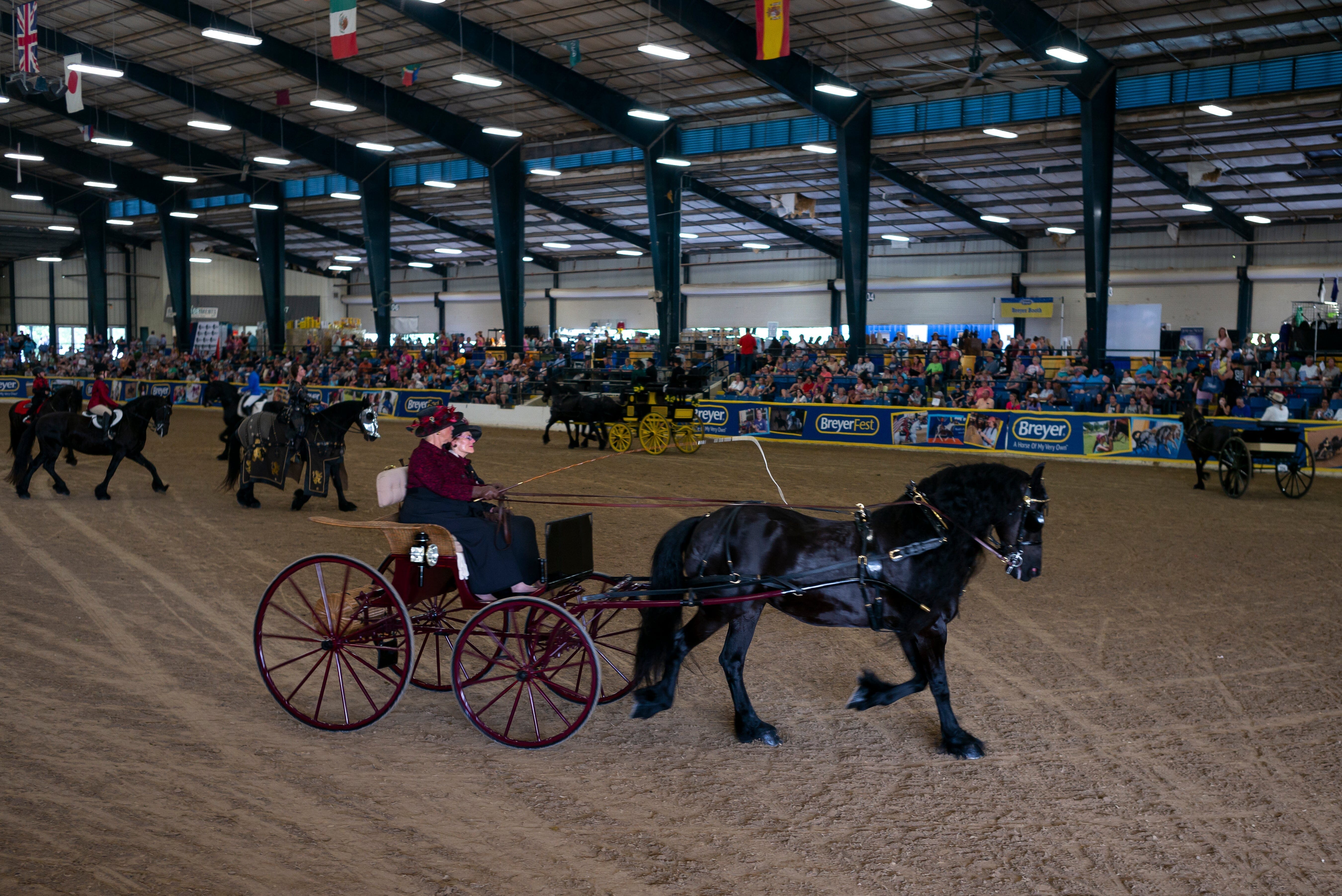 The Friesians are Back for Equine Demos! — BreyerHorses.com