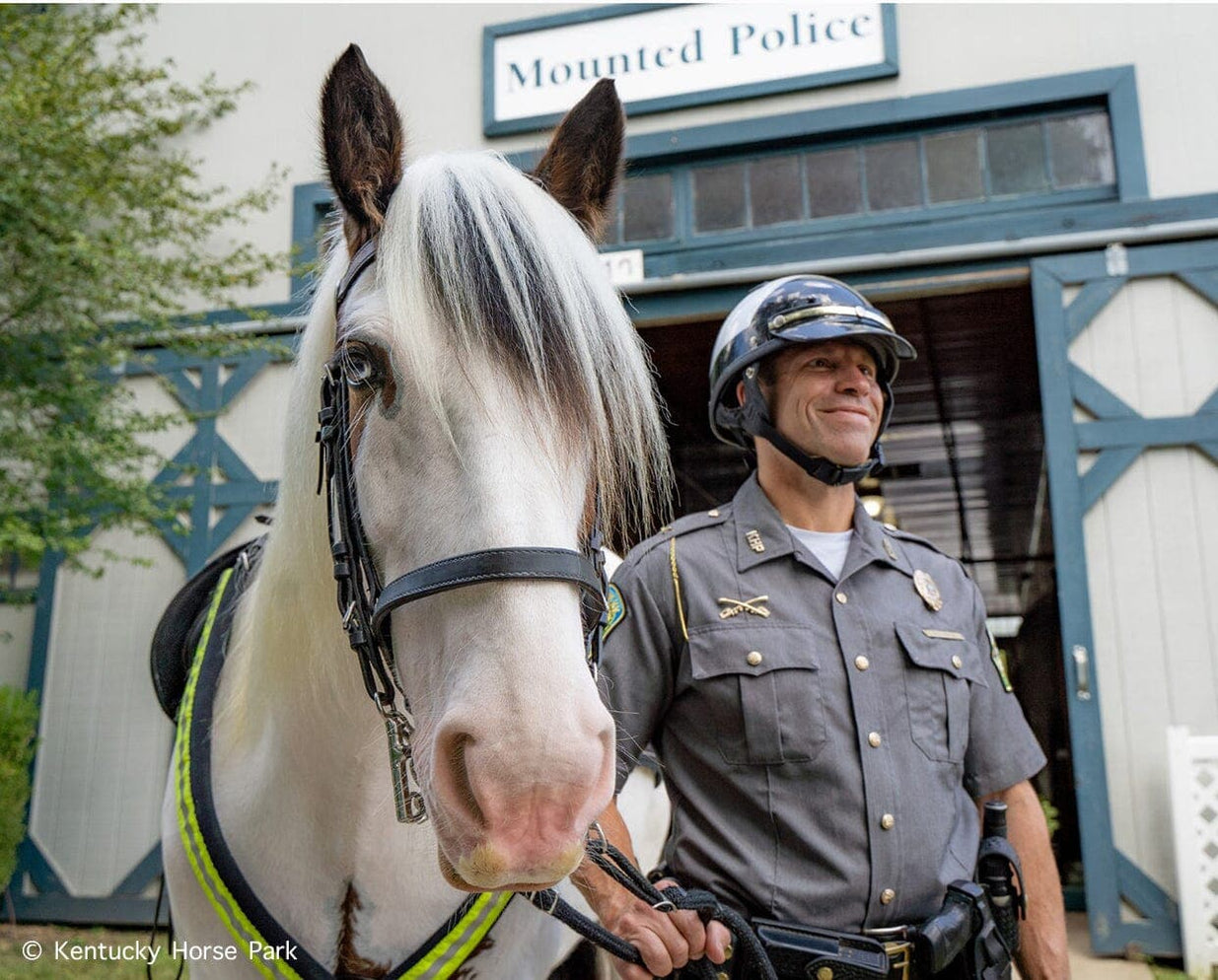 Hytyme Legend | KHP Mounted Police Horse — BreyerHorses.com