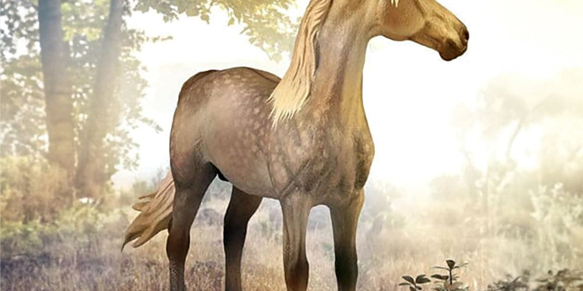 Morgan Stallion - Silver Grulla — BreyerHorses.com