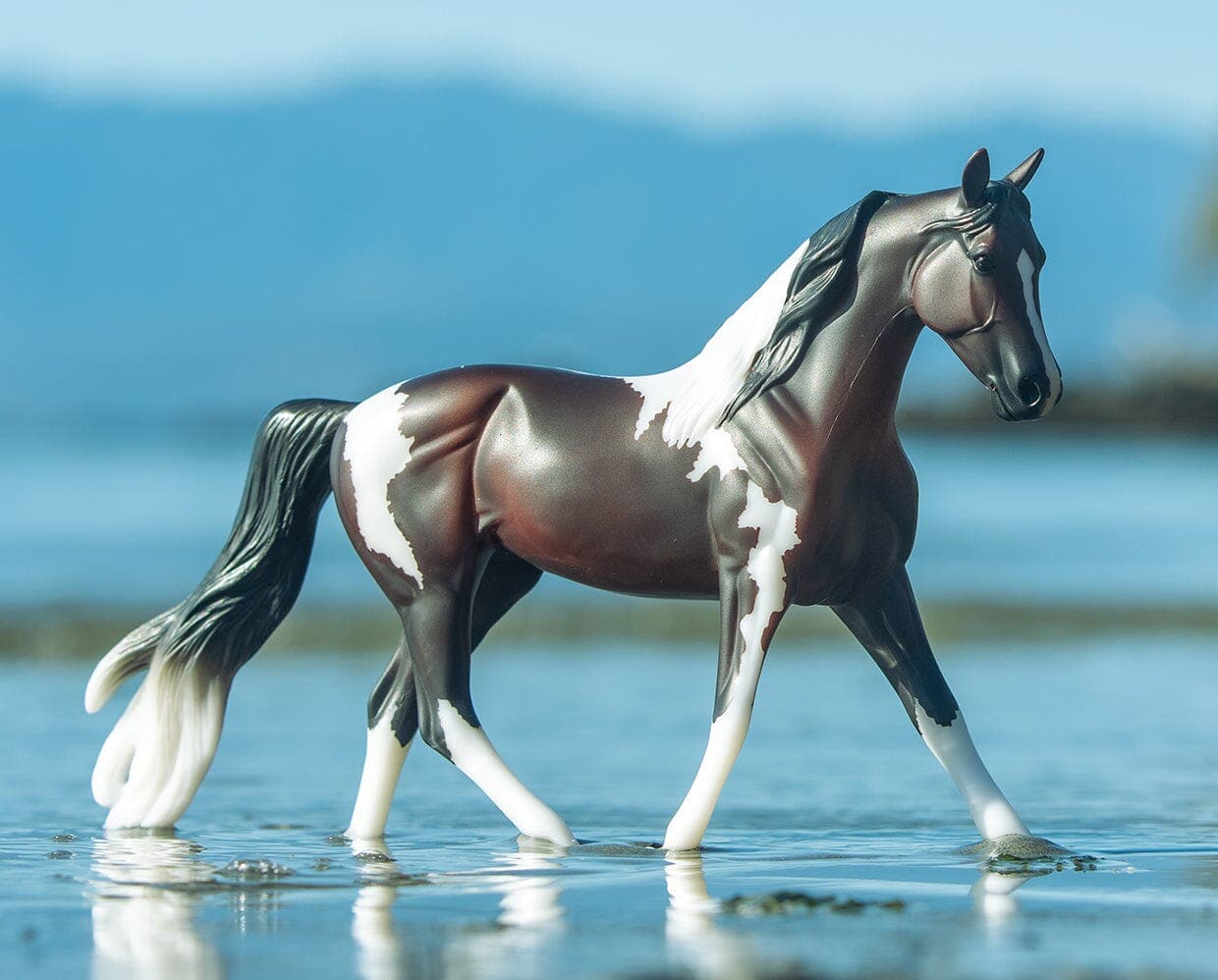 Pinto - BreyerHorses.com