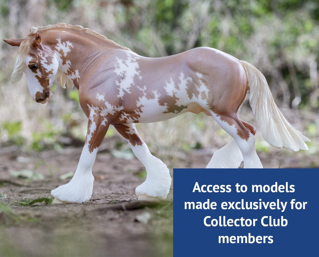 For Club Members Only — BreyerHorses.com