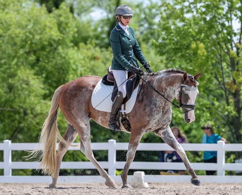 Full Moon Rising - BreyerHorses.com