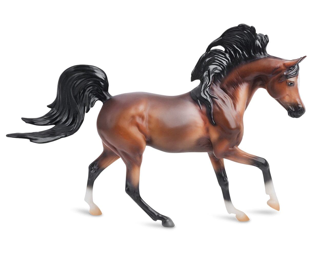 Bay Arabian