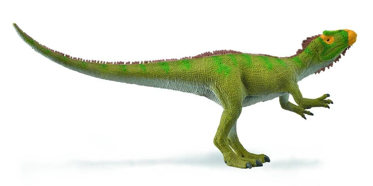 Neovenator Neovenator Had A Sensitive Face According To New Research