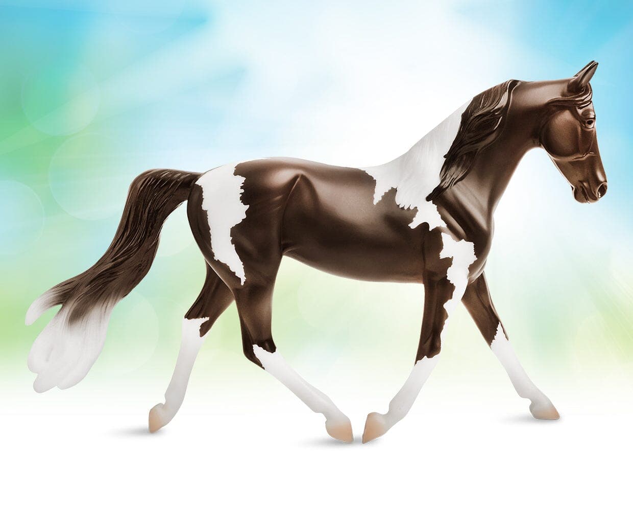 Pinto Horse