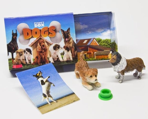 Pack Of Dogs