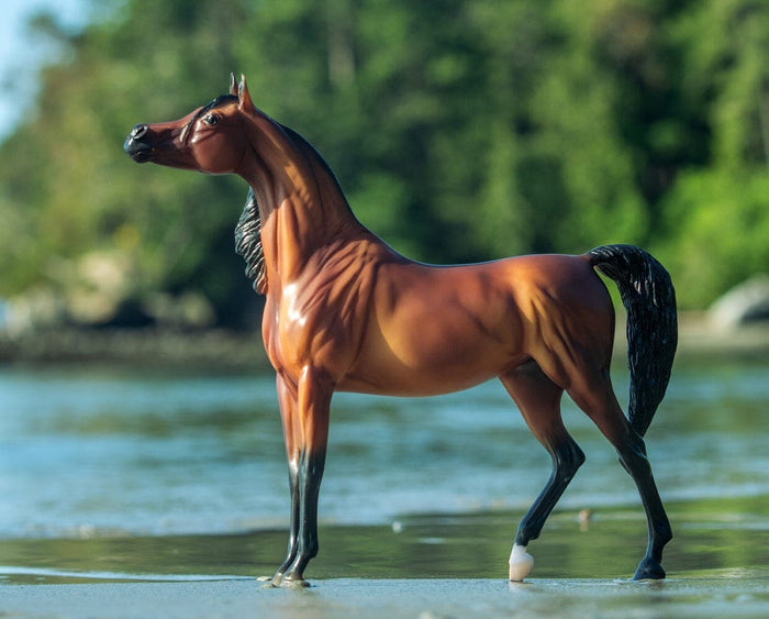 Traditional - BreyerHorses.com
